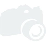 Front Axle Seal by TIMKEN - 710863