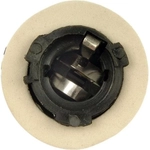 Rear Side Marker Light Socket by DORMAN/CONDUCT-TITE - 85830