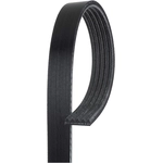 ACDELCO - 5K335 - Standard V-Ribbed Serpentine Belt