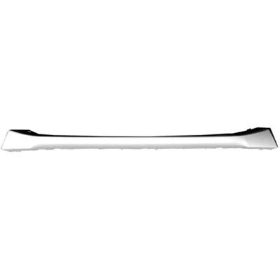 Front Bumper Molding - BM1044117