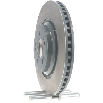 PROMAX - 14-610170 - Front Disc Brake Rotor