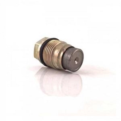 Pressure Relief Valve by BOSCH - 0281006019