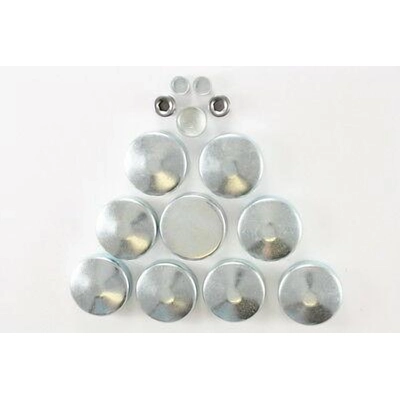 Expansion Plug Kit (Engine Kits) by PIONEER - PE120B