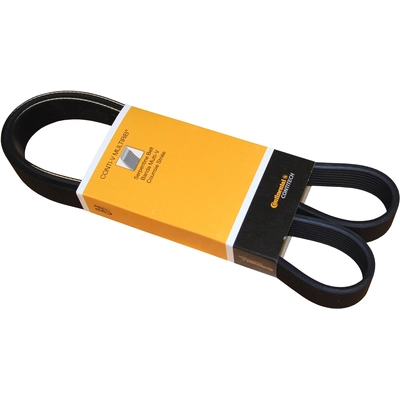 Serpentine Belt by CRP/CONTITECH - 8K1305