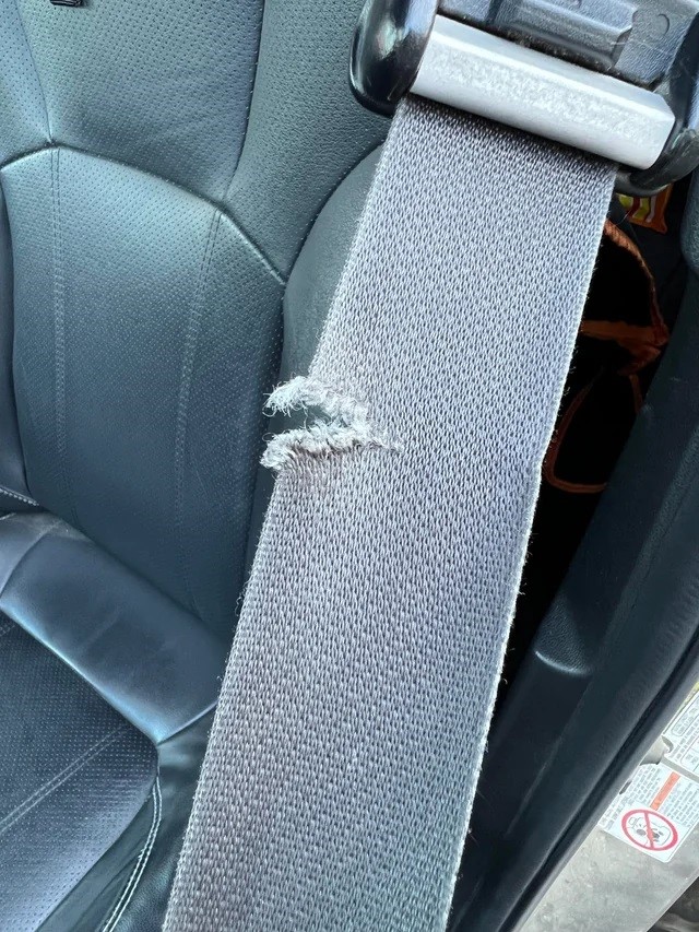 How to Test Your Seat Belts for Safety: 5 Essential Checks ...