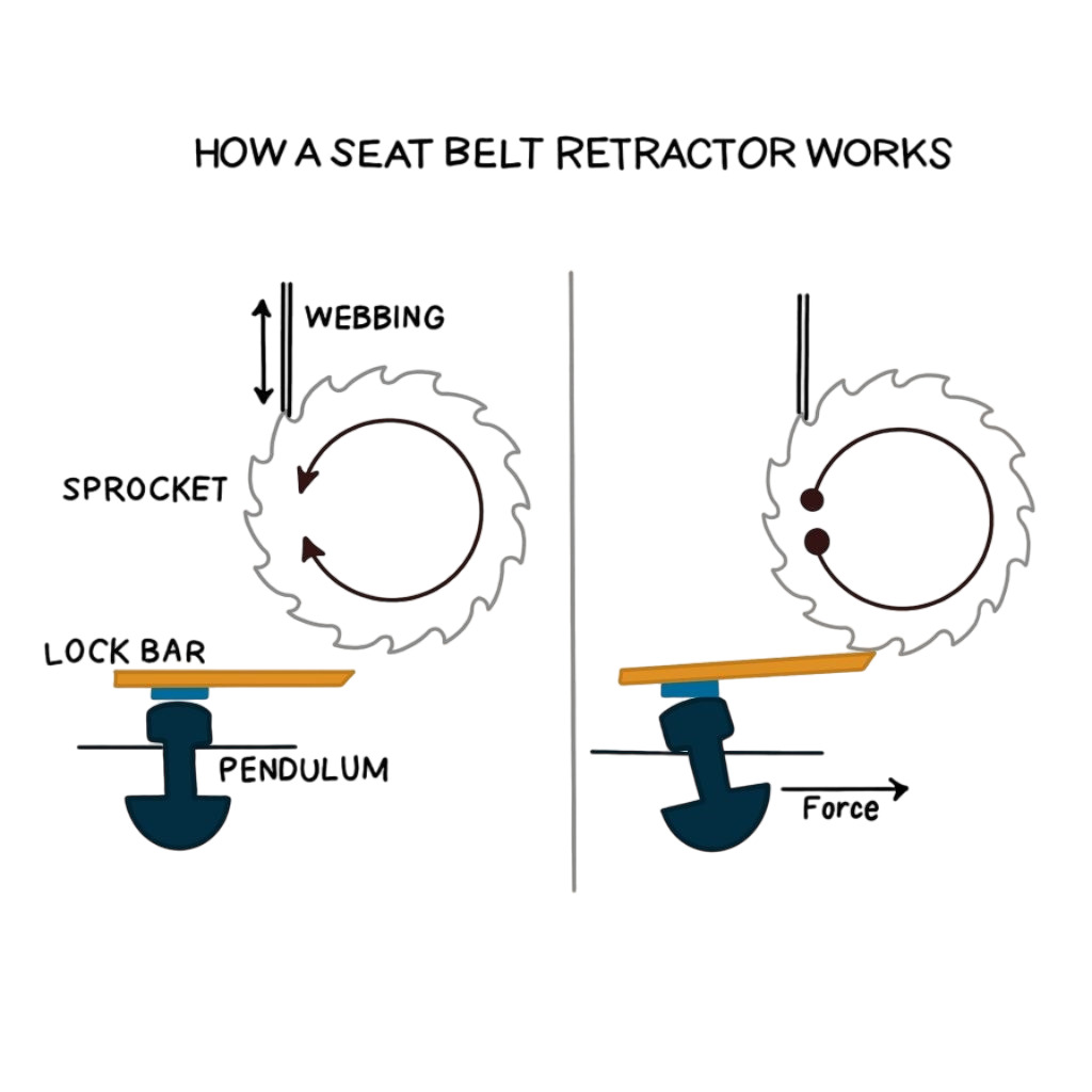 How to Test Your Seat Belts for Safety: 5 Essential Checks ...